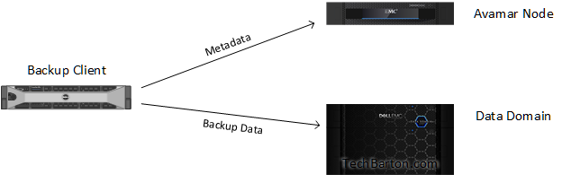 Oldie but a Goodie, Forcing Avamar Backups to Data Domain – Tech Barton